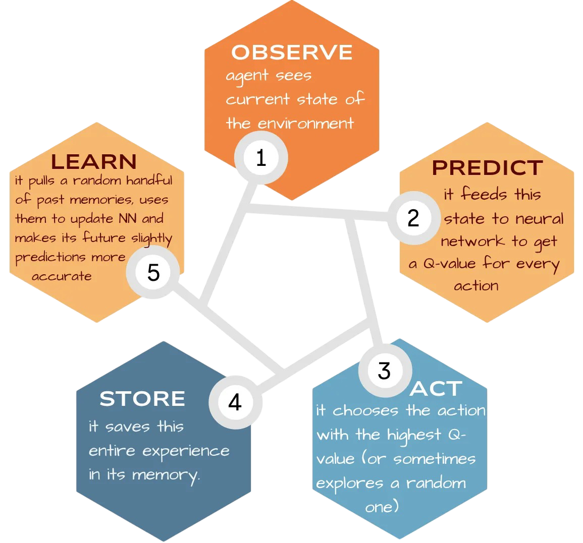 My Exploration of RL Concepts, Q-Learning, DQN, and a MountainCar Finale
